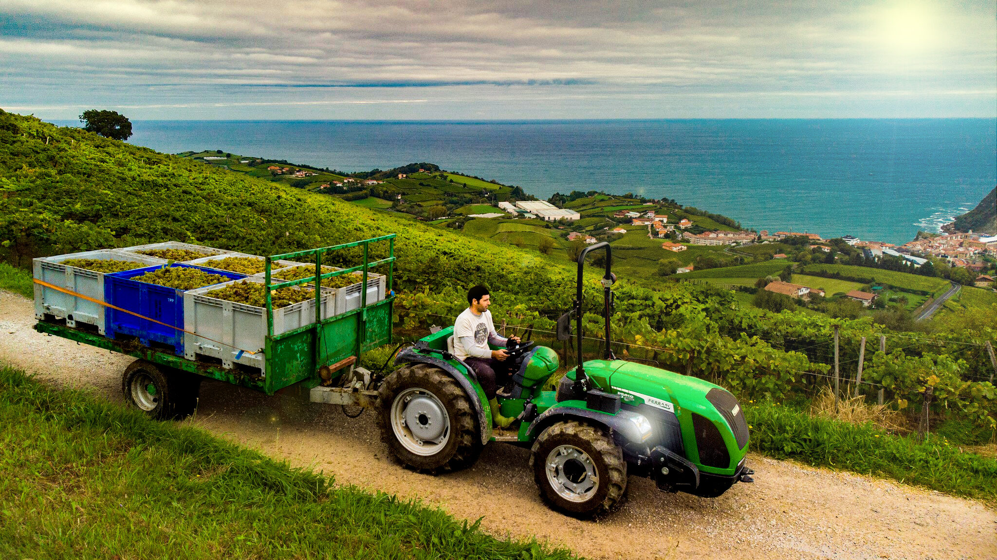 FERRARI | Specialized tractors, Motor mowers, Two-wheel tractors